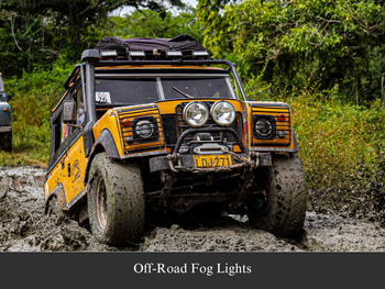 Off-Road Fog Lights: Everything You Need To Know In 2024 – Carifex